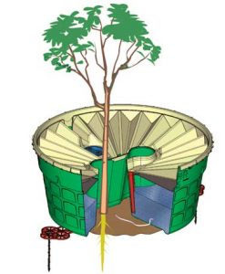 Waterboxx: un cubo mágico para la plantación - Greenteach