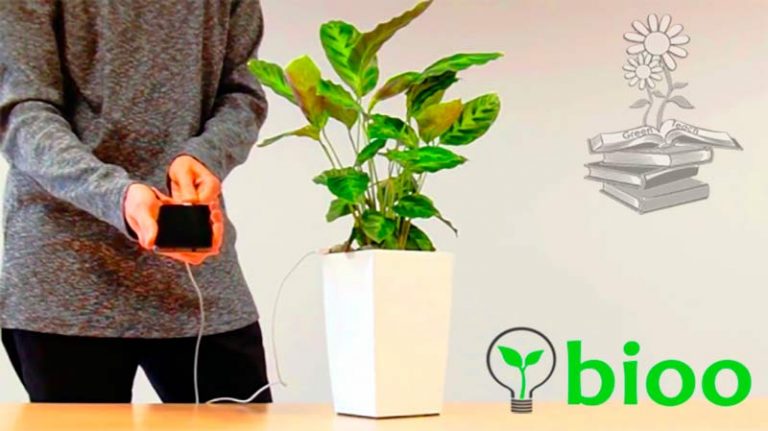Bioo Lite y cómo obtener electricidad y WiFi con plantas - Greenteach
