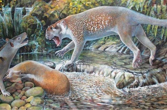 Descubierta nueva especie de león marsupial extinto - Greenteach