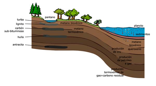 Combustibles Fósiles y Descarbonización - Greenteach