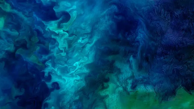 La Circulación Termohalina y el Cambio Climático 🌊 🔃 ⚠️