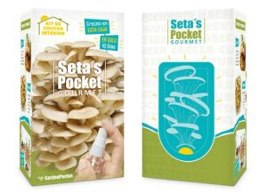 Cultivo de setas en casa. Cómo cultivar setas comestibles 🍄🌱