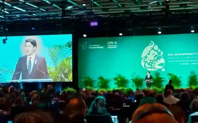 Segunda parte de la CBD COP 15 o Convenio de Diversidad Biológica