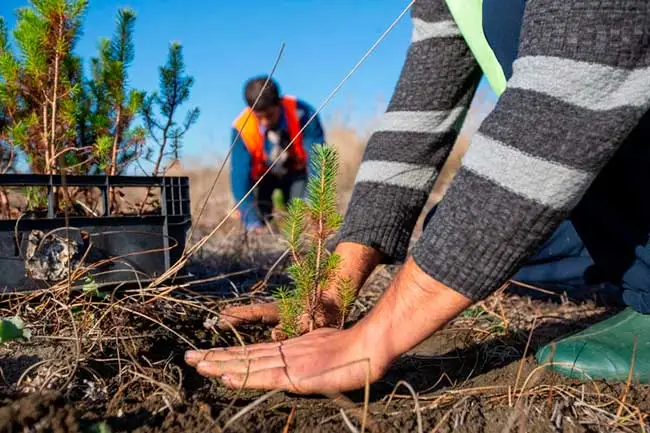 Segunda parte de la CBD COP 15 o Convenio de Diversidad Biológica