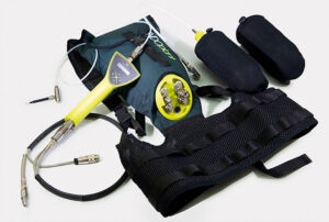 Endoterapia vegetal o arbórea: qué es, cómo funciona, productos y ...