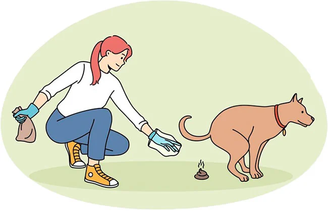¿son Nocivas Para El Medio Ambiente Las Heces De Perros