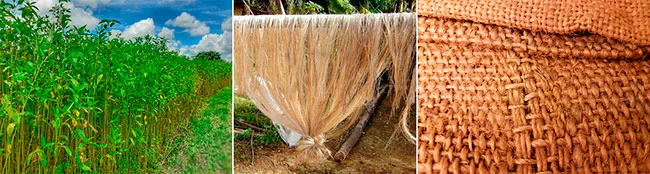 ¿Cuáles son las fibras naturales textiles o tejidos naturales? Tipos ...