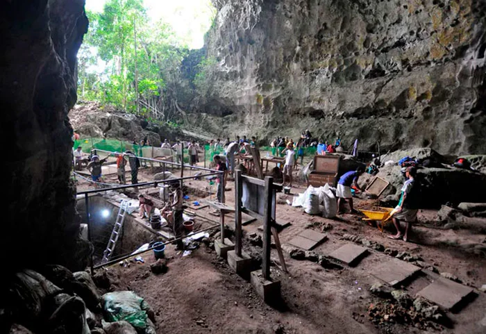Homo luzonensis, nueva especie humana descubierta en Filipinas - Greenteach